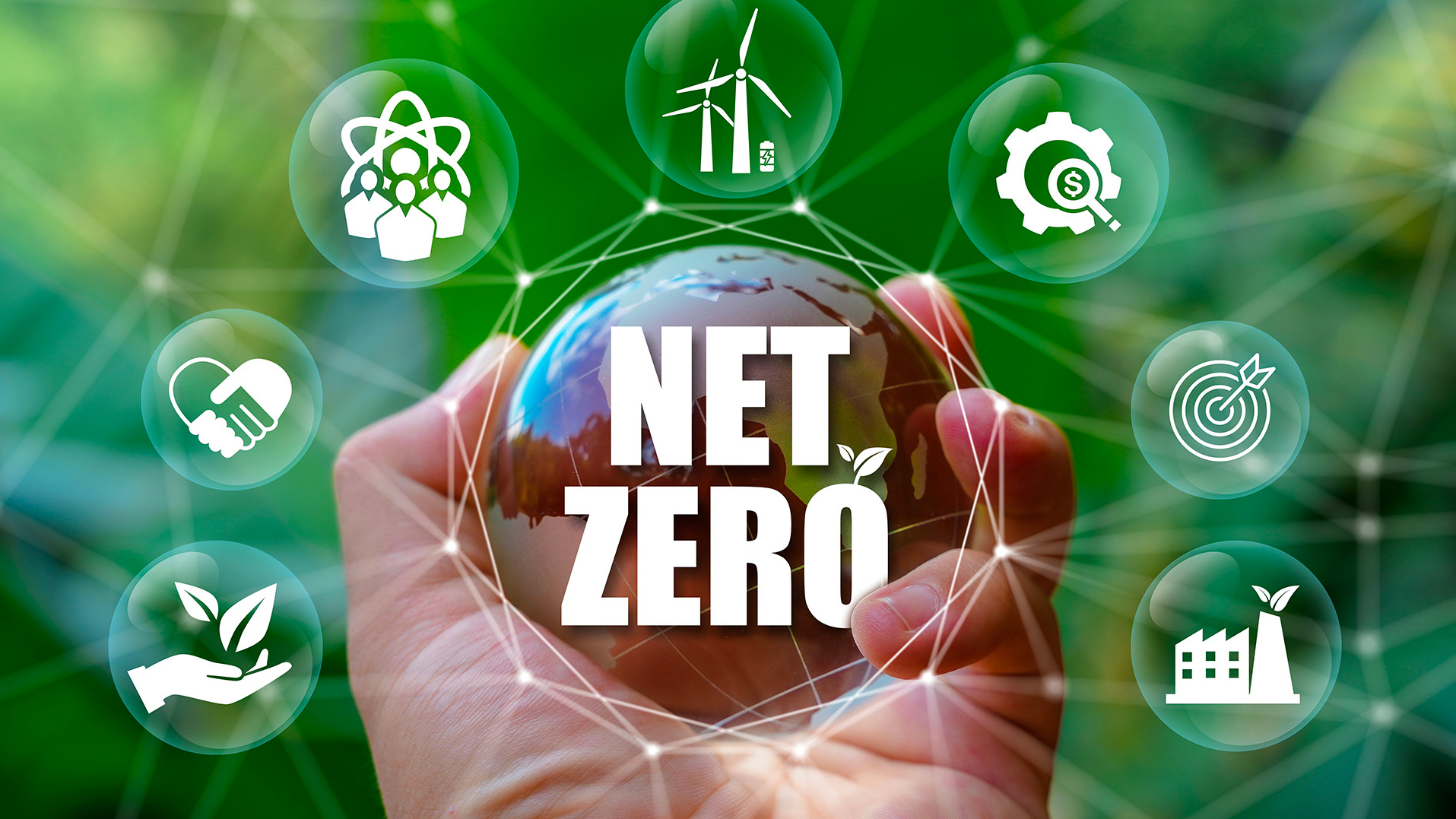 Solutions for businesses moving towards net zero